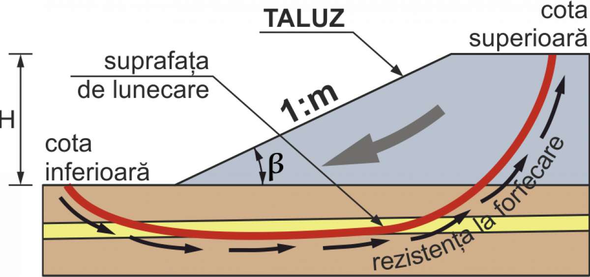 Fundații | BEJAN Florin